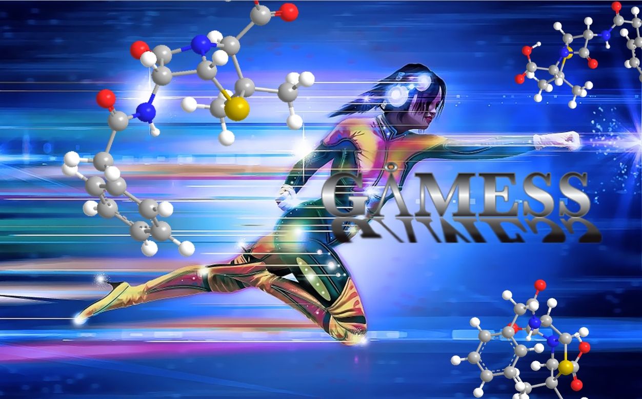 PC CHEM BASICS.COM - GAMESSの導入