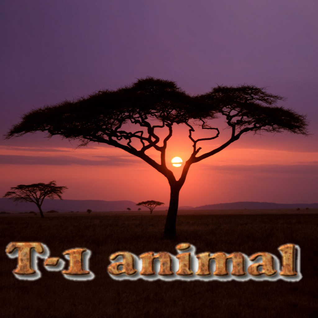 はじめまして : T-1 animal