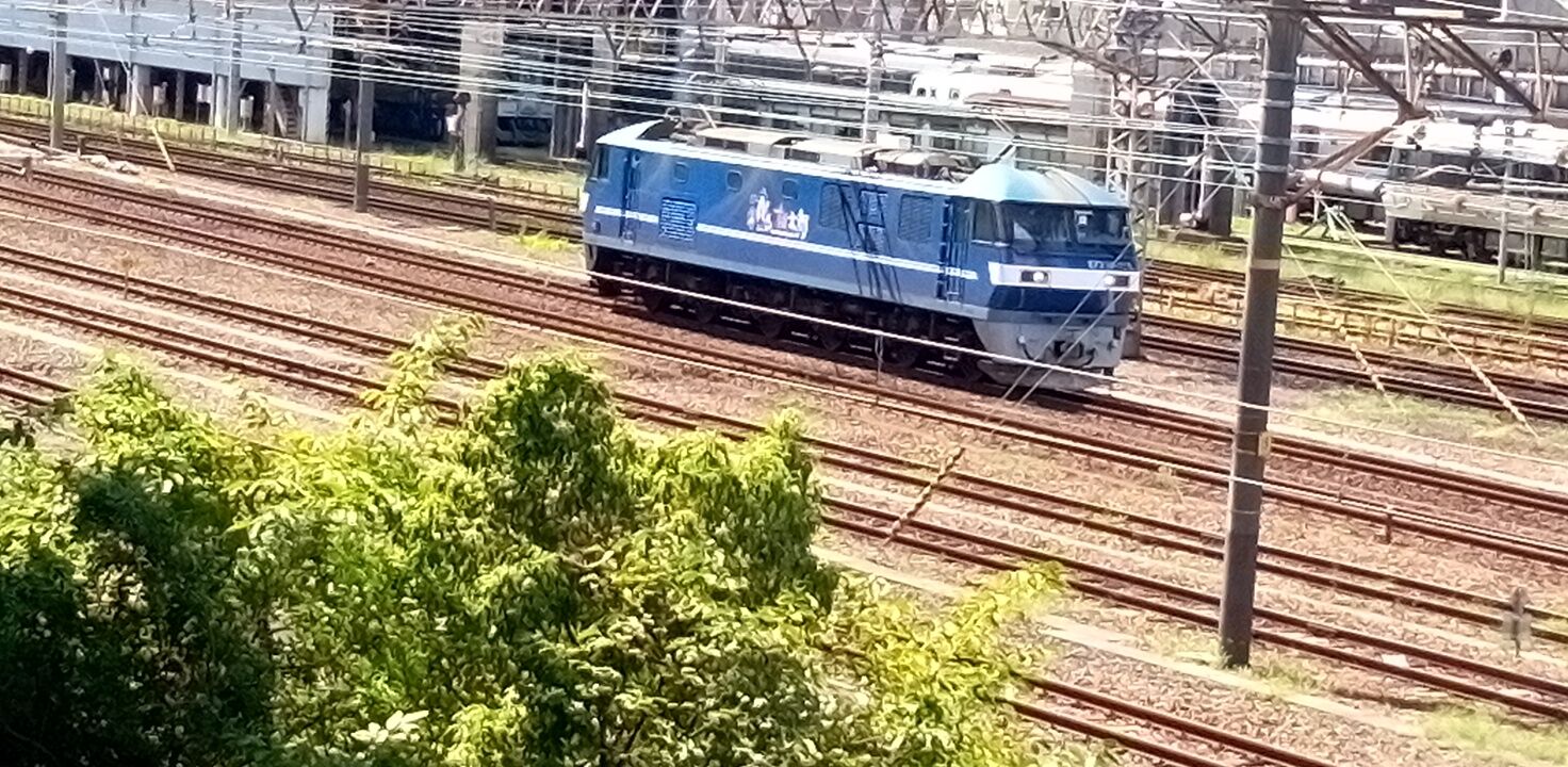 EF210 : れいるロード165