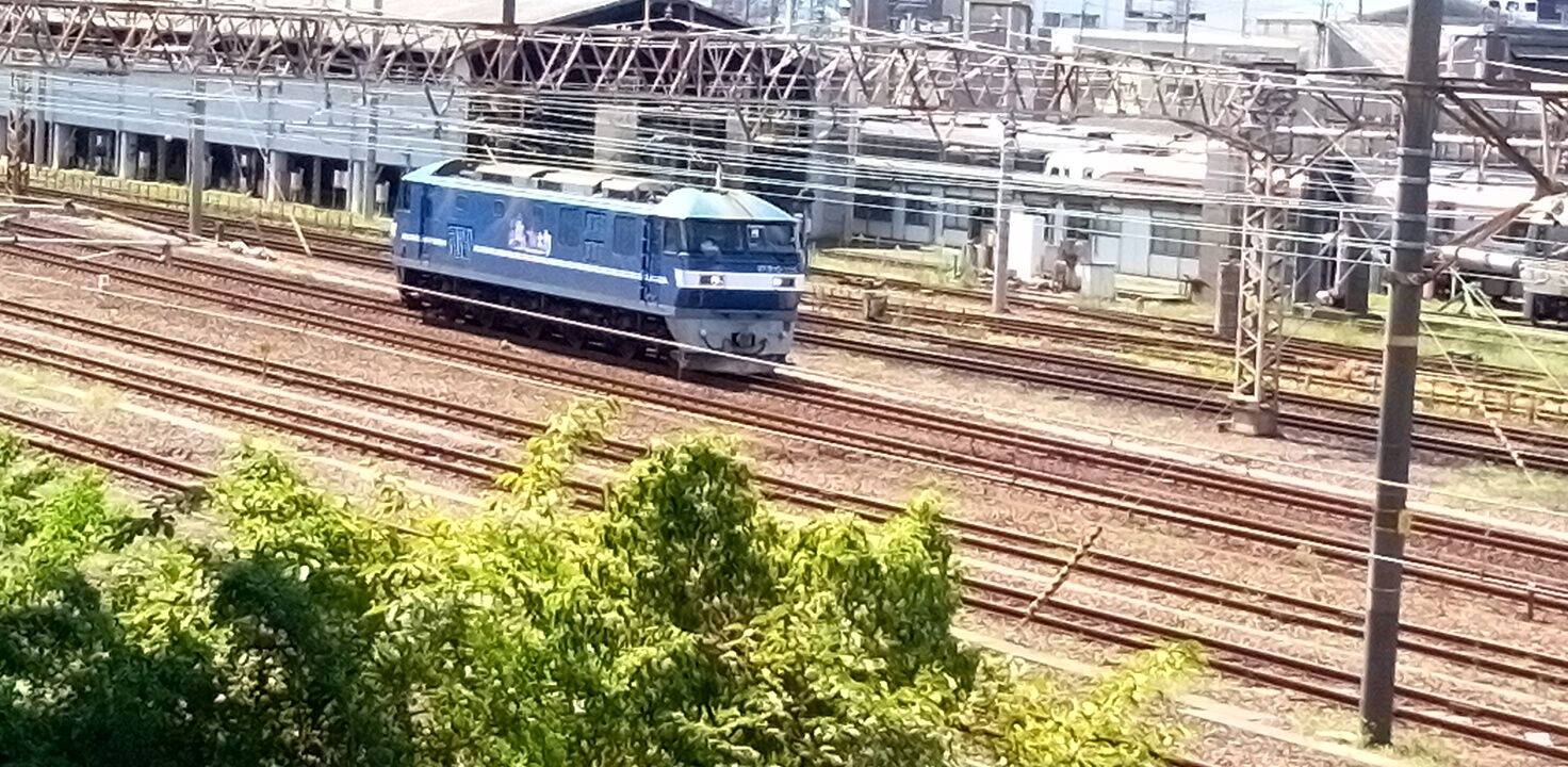 EF210 : れいるロード165