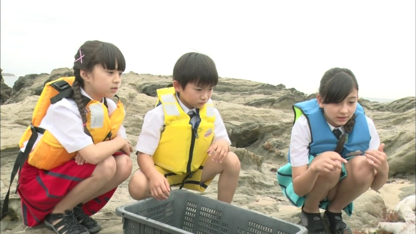 【画像】NHKさんJSのパンチラを美してしまう… : コピ速