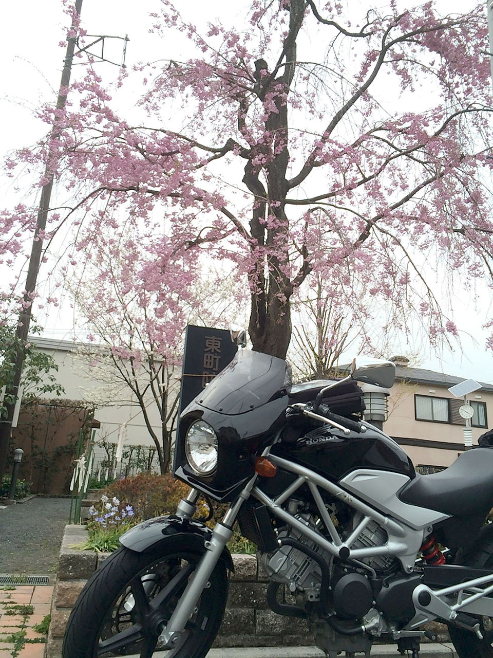 VTR : 40's 女性ライダー Life with VTR250