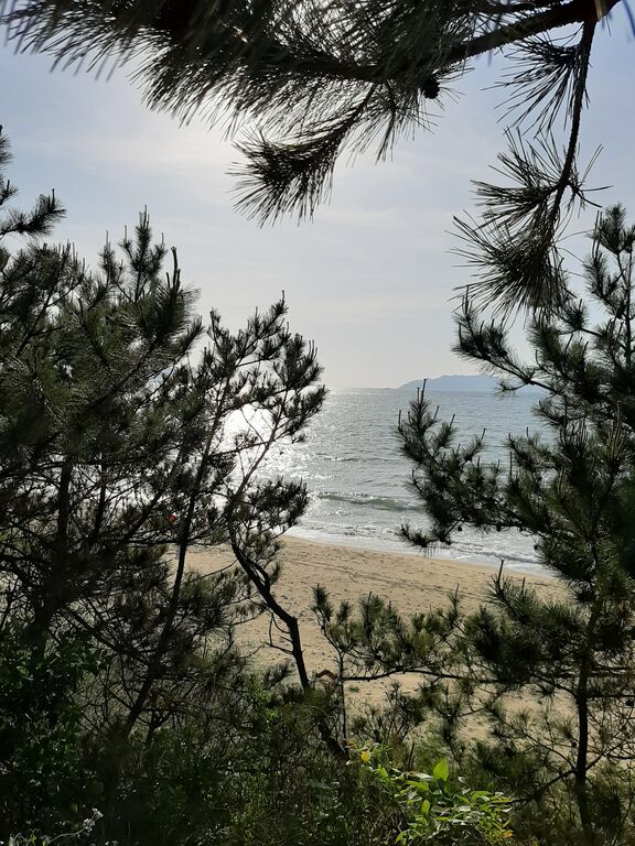 Pottering the usual path as usual @Hibikinada Cycle Road