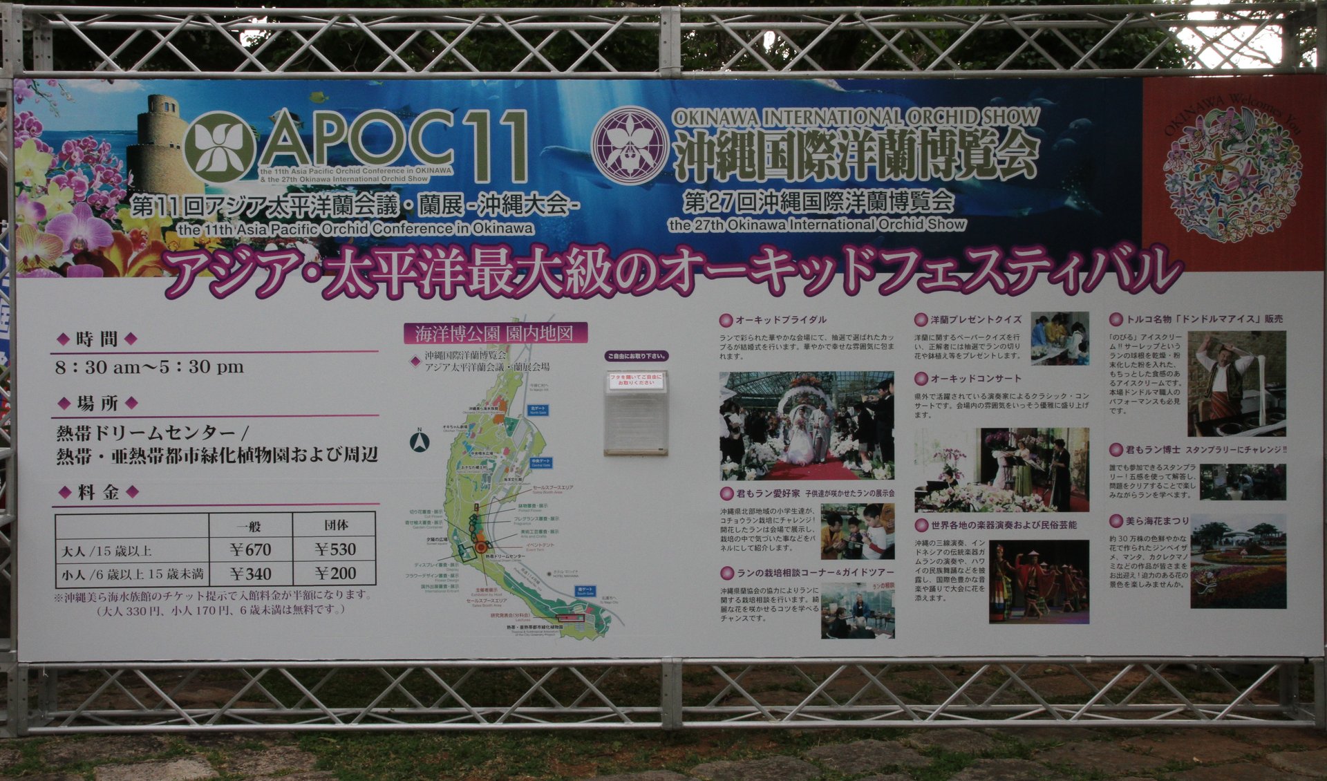 ランと遊ぶ : APOC 11、 沖縄国際洋蘭博覧会同時開催