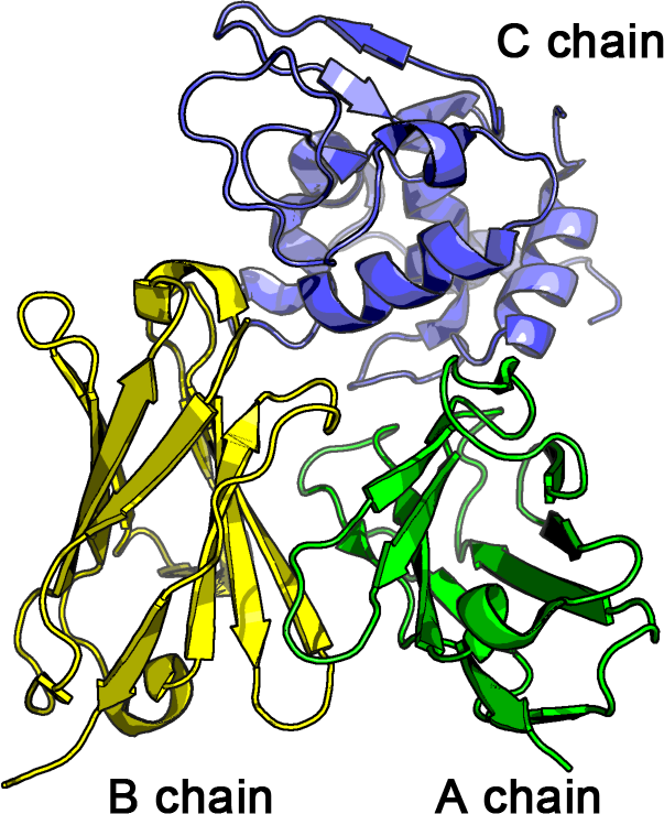 Ag++ : AmberTools 16を使ってMD simulationをしてみよう（その1）