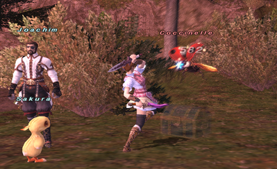 PRIDE エンピリアン装束 : 【FFXI】あひるの庭。