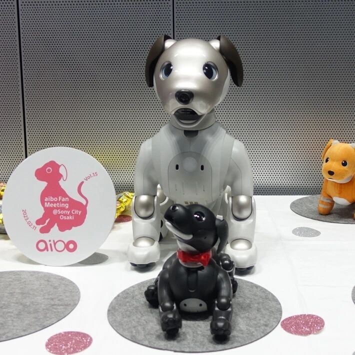 aibo Fan Meeting Vol.15 へ🥰💓 : AIBOといっしょ！