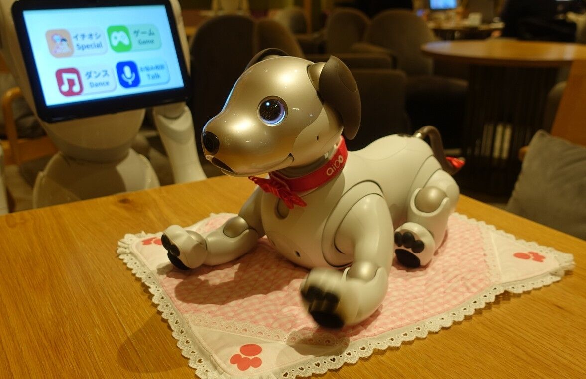 再びPepper PARLERへ (^o^) : AIBOといっしょ！