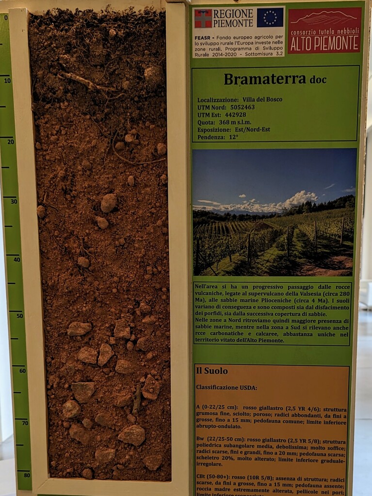 北イタリア ピエモンテの田舎で暮らして : Bramaterra DOC