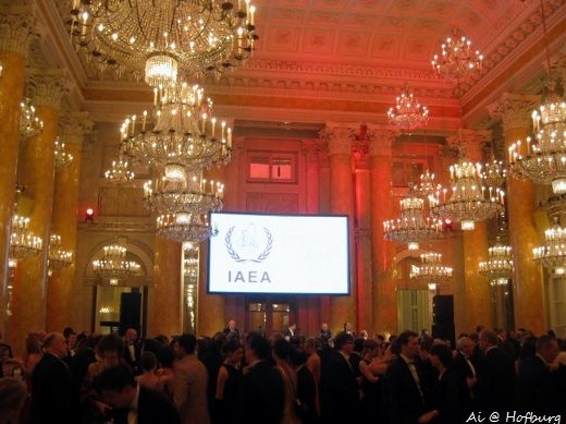 IAEA BALL 2014 : ウィーン生活、そしてカナダへ