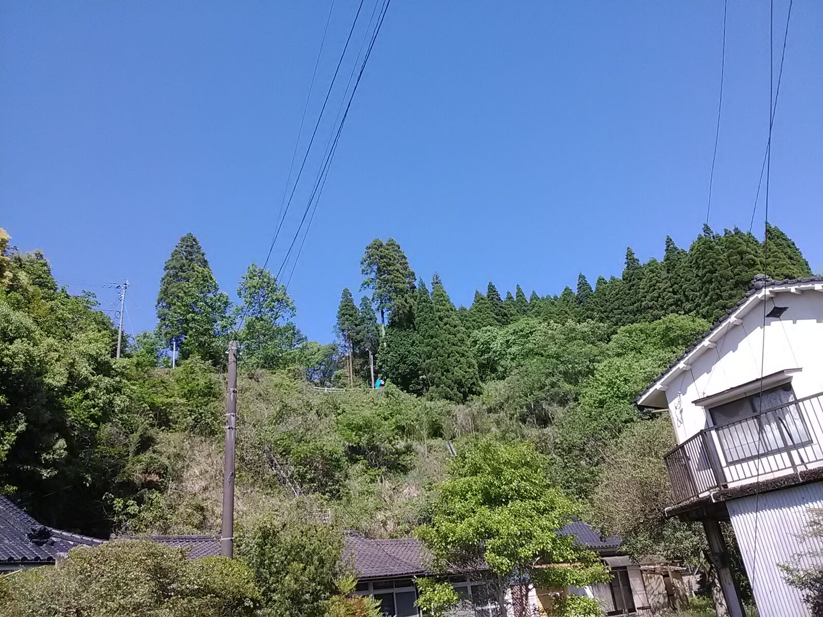 苗箱作業1/2 2023.5.9 : 『釣りは楽しく』 花は霧島 海釣り日記