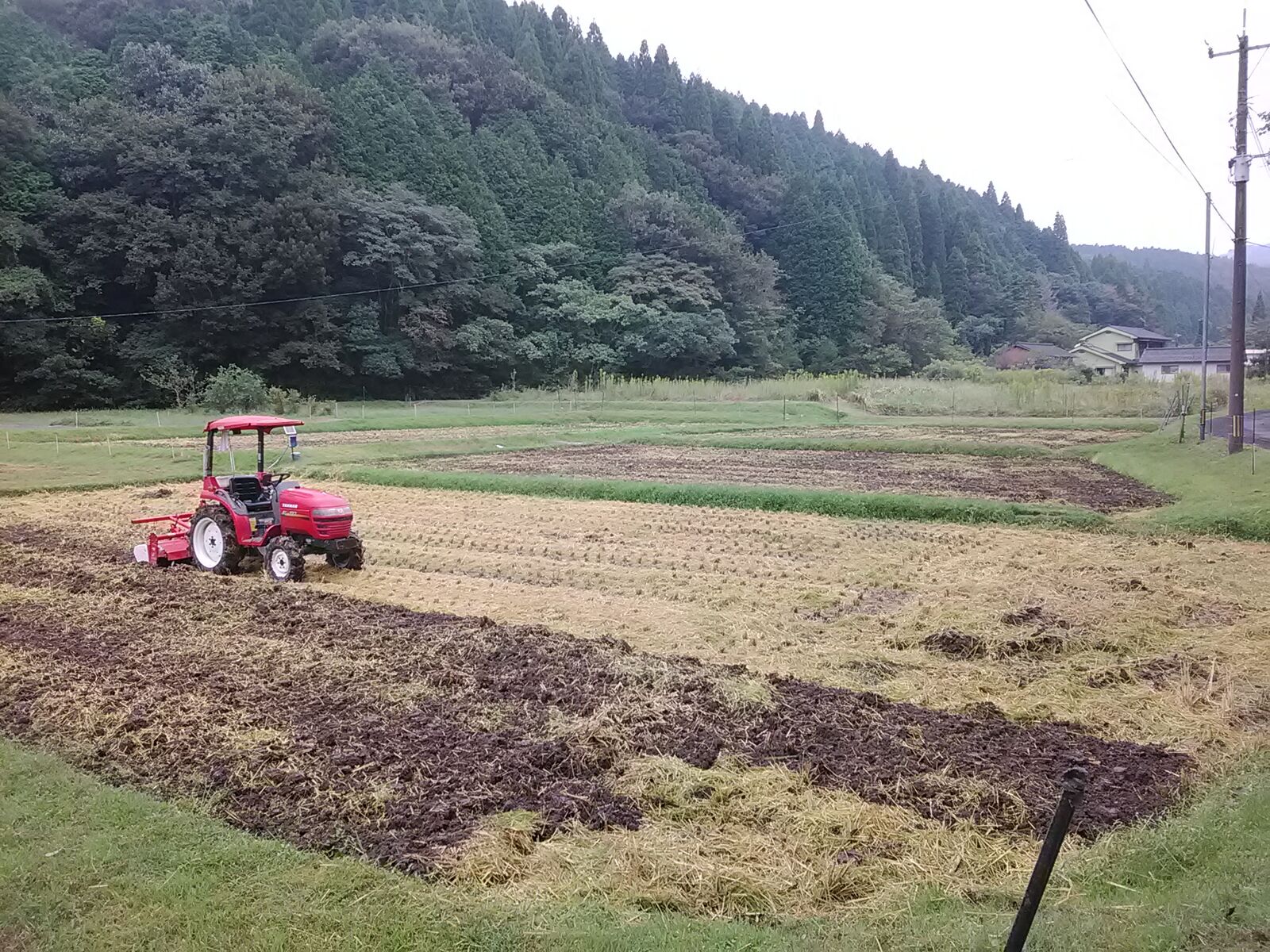 ワラすき込み作業 2023.10.1 : 『釣りは楽しく』 花は霧島 海釣り日記