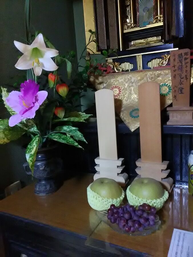 初チャレンジのぶどうを頂きました♬ 甘くて美味しい♪ : 『釣りは楽しく』 花は霧島 海釣り日記