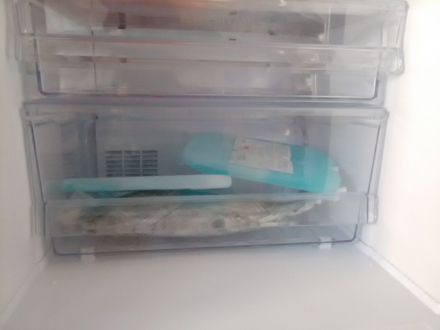 早速グレしゃぶで食ってみた♪マイウ～ : 『釣りは楽しく』 花は霧島 海釣り日記