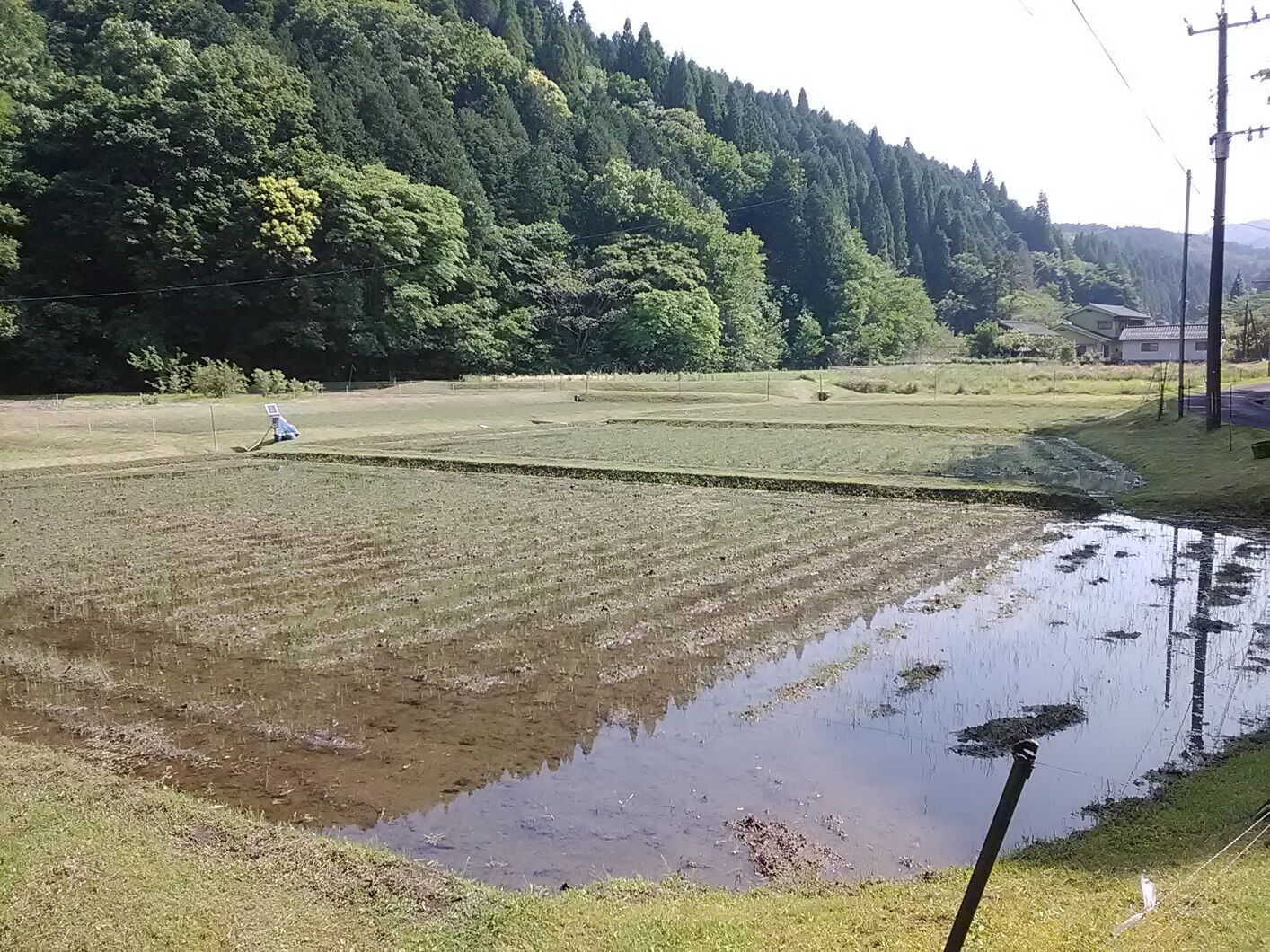 水張り耕うん3回目 2023.5.16 : 『釣りは楽しく』 花は霧島 海釣り日記