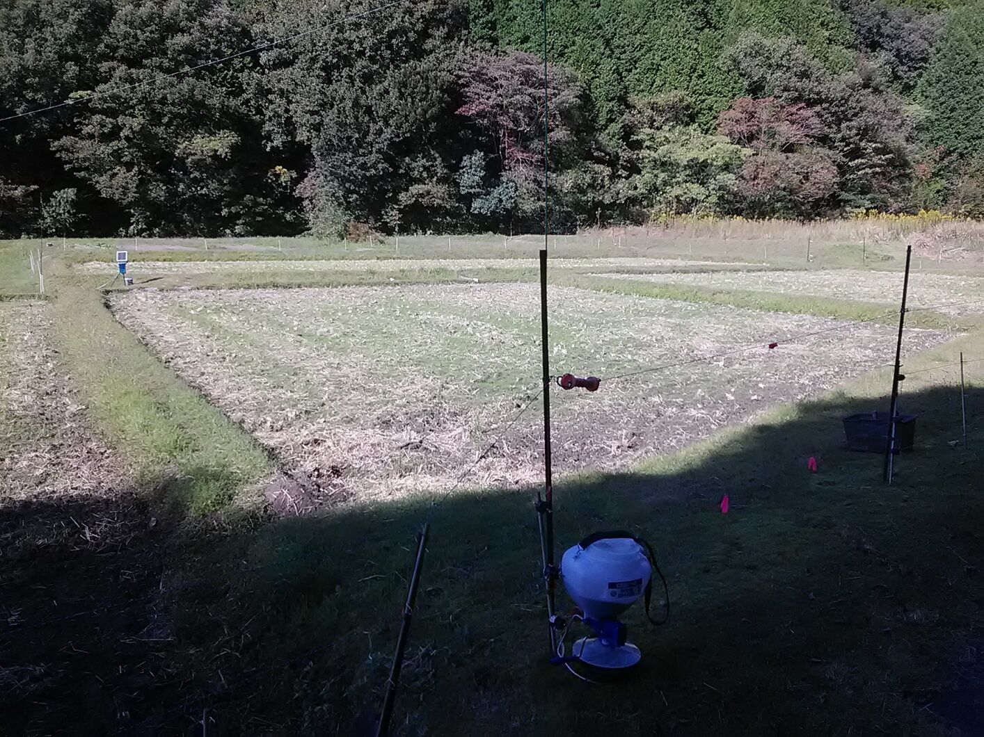 レンゲ種蒔き作業ほか '23.10.25 : 『釣りは楽しく』 花は霧島 海釣り日記