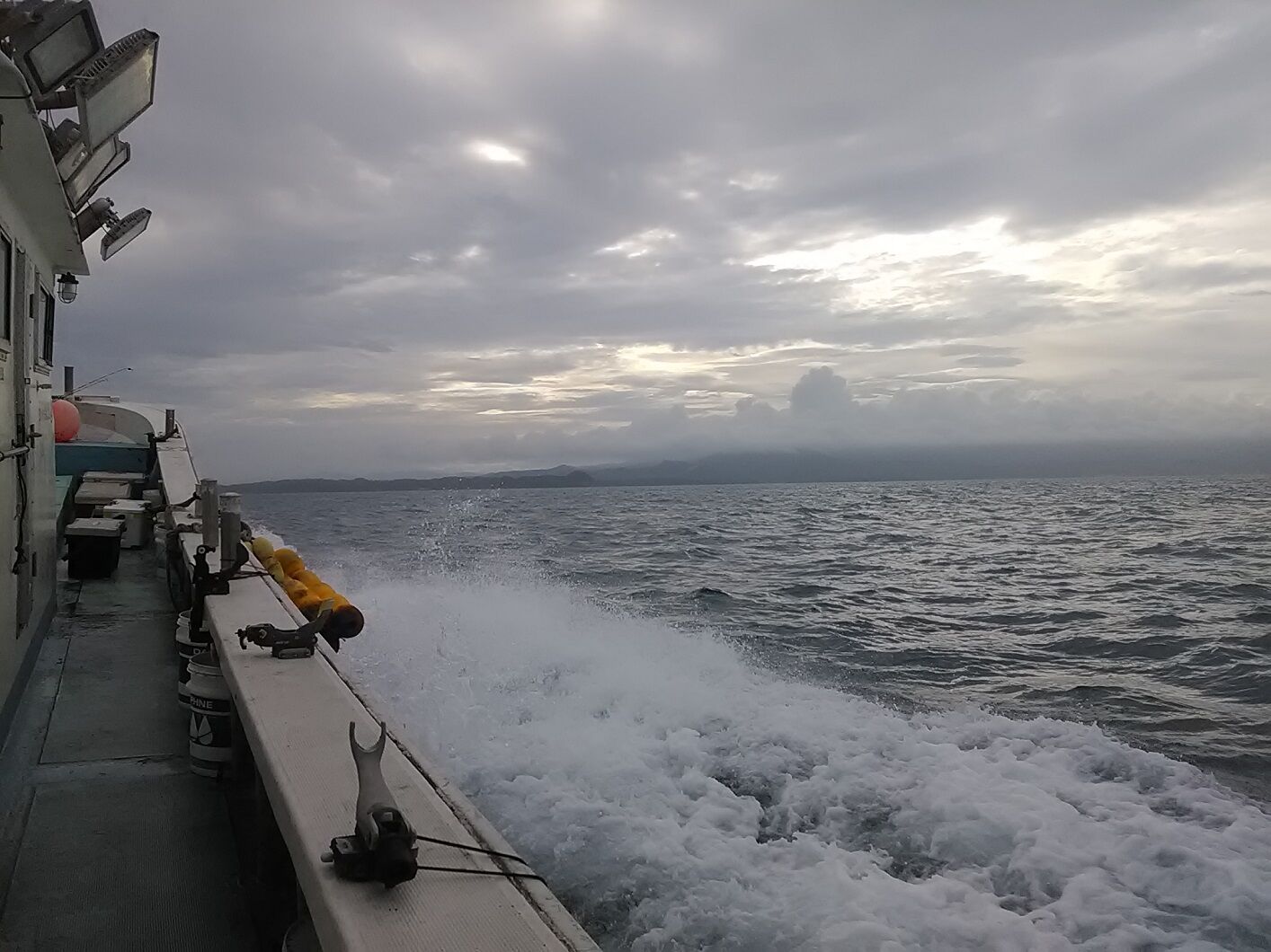 鹿児島県甑島沖アカイカ夜釣り '23.6.27 : 『釣りは楽しく』 花は霧島 海釣り日記