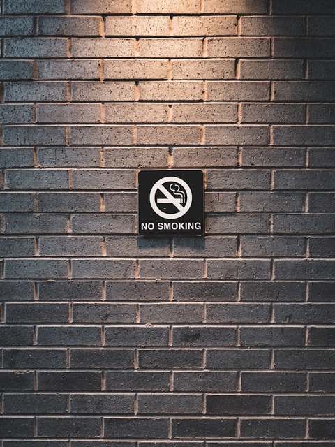 禁煙初日 : Ellie's life