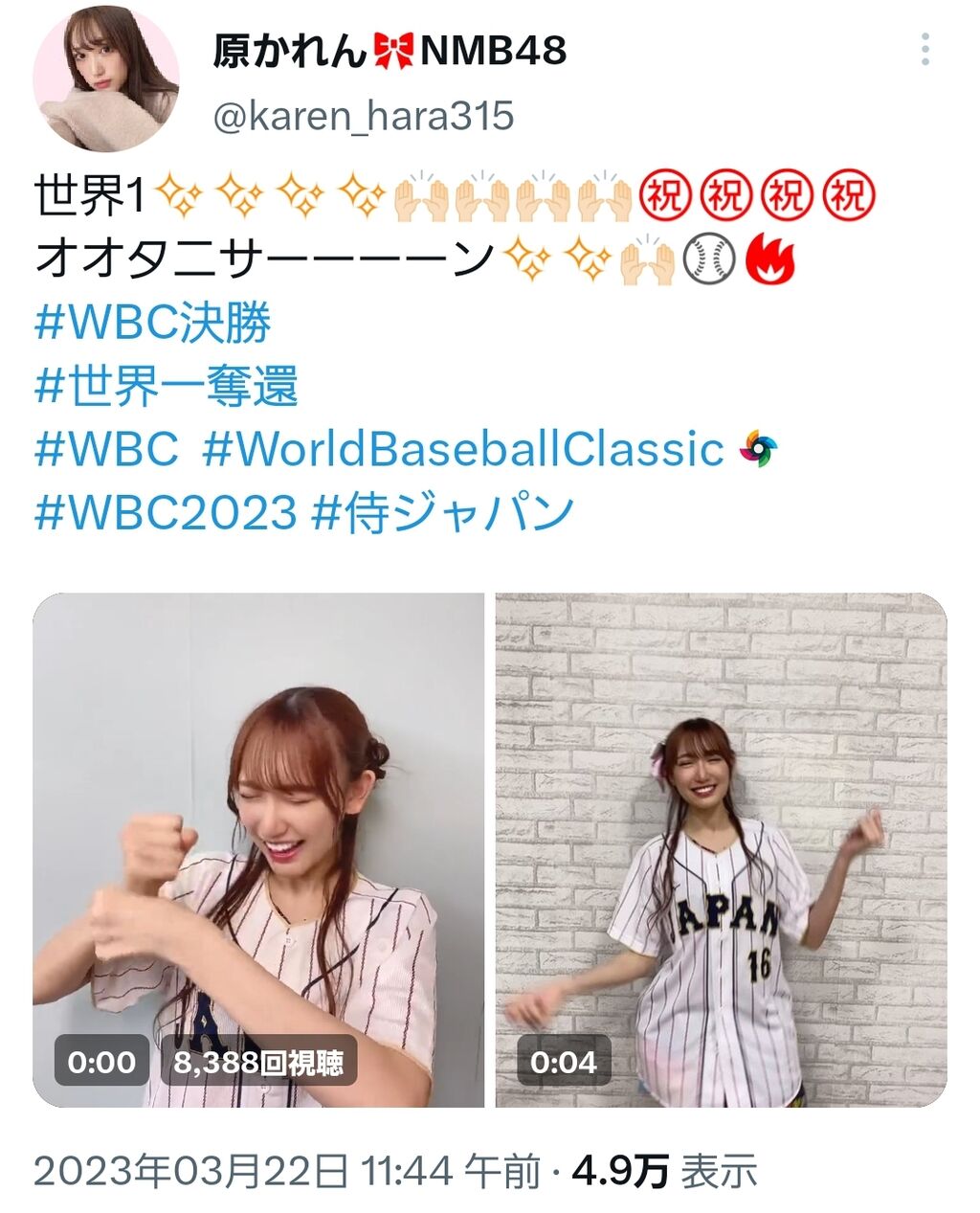 AKB48タイムズ（AKB48まとめ） : 【AKB48G】WBC日本優勝決定の瞬間に歓喜したメンバー一覧！！【AKB48グループ】 - livedoor Blog（ブログ）