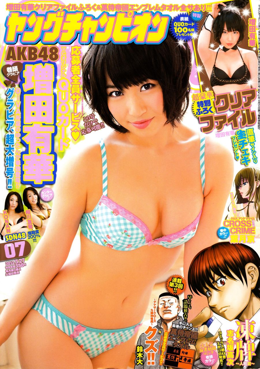 AKB48 : グラビアだいすき♪ -48グループ～AVアイドルまで-