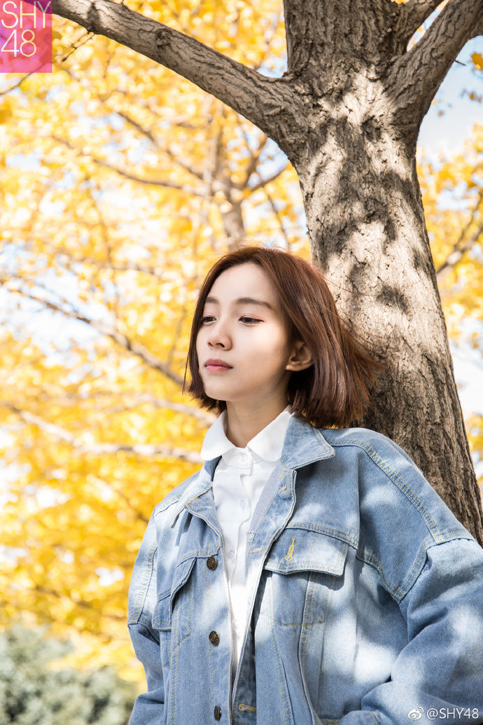 SHY48 チームHIIIの銀杏節のイチョウ写真が綺麗 : SNH48SPARKS