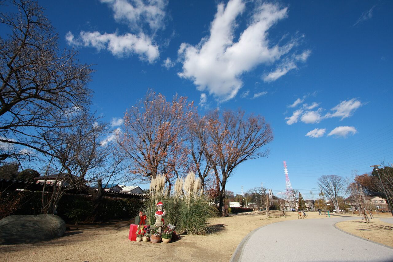 akimo散策日記 : 2024年12月