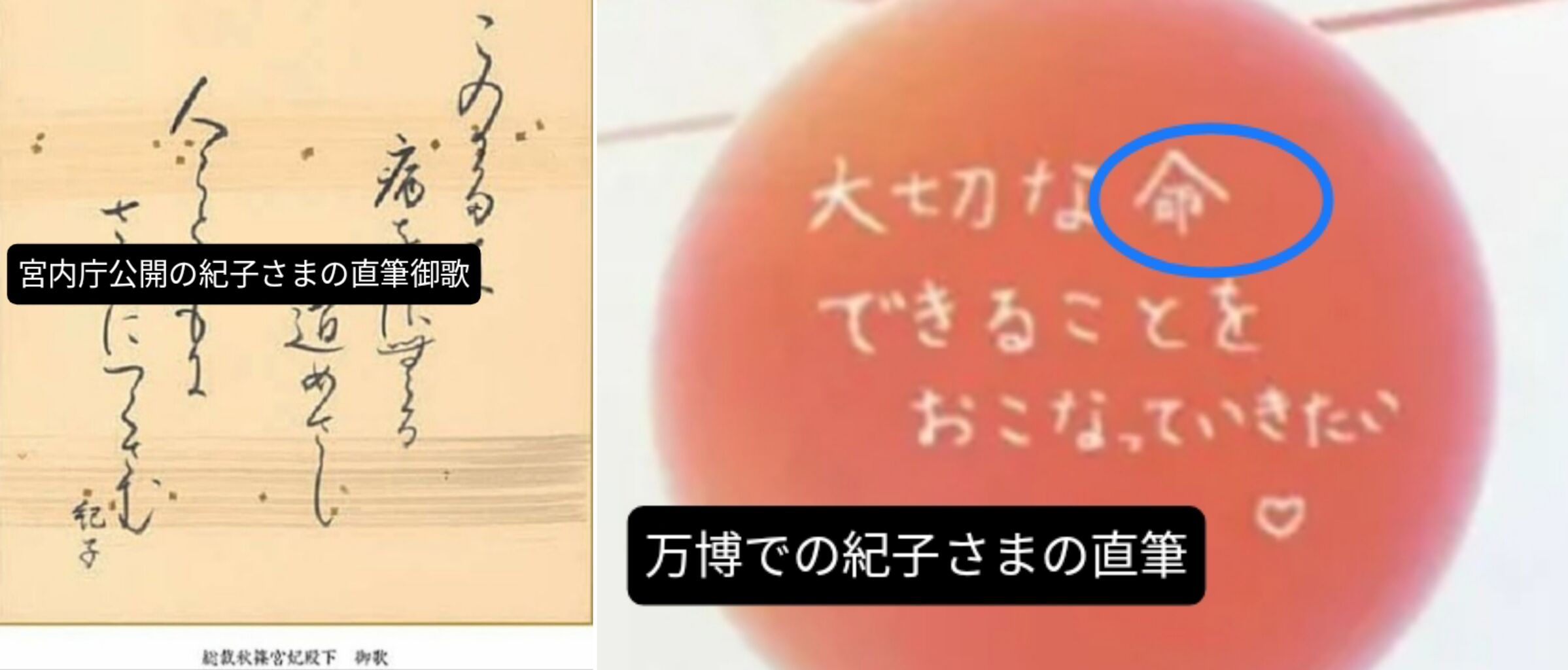 「命」の文字をめぐる逸話とは｜紀子さまの“幻の達筆伝説”が語られる理由 : 日本の皇室と世界の王室