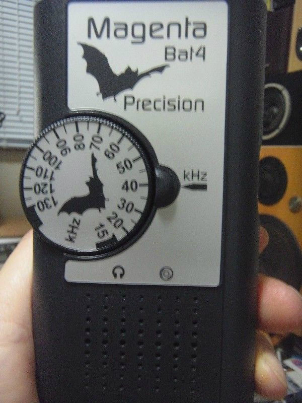 2015年10月13日 : アリス式海岸Blog