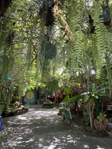 プーケット旅行記 マイカオ地区おすすめレストラン② Ta Tuay : Aolani日和