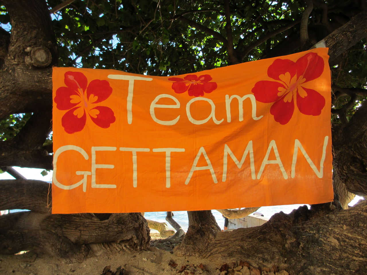 ALOHA！！GETTAMAN:Team GETTAMANからのお知らせ - livedoor Blog（ブログ）