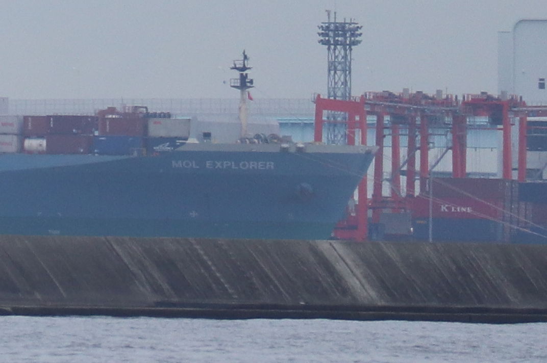 MOL EXPLORER : あまがみ
