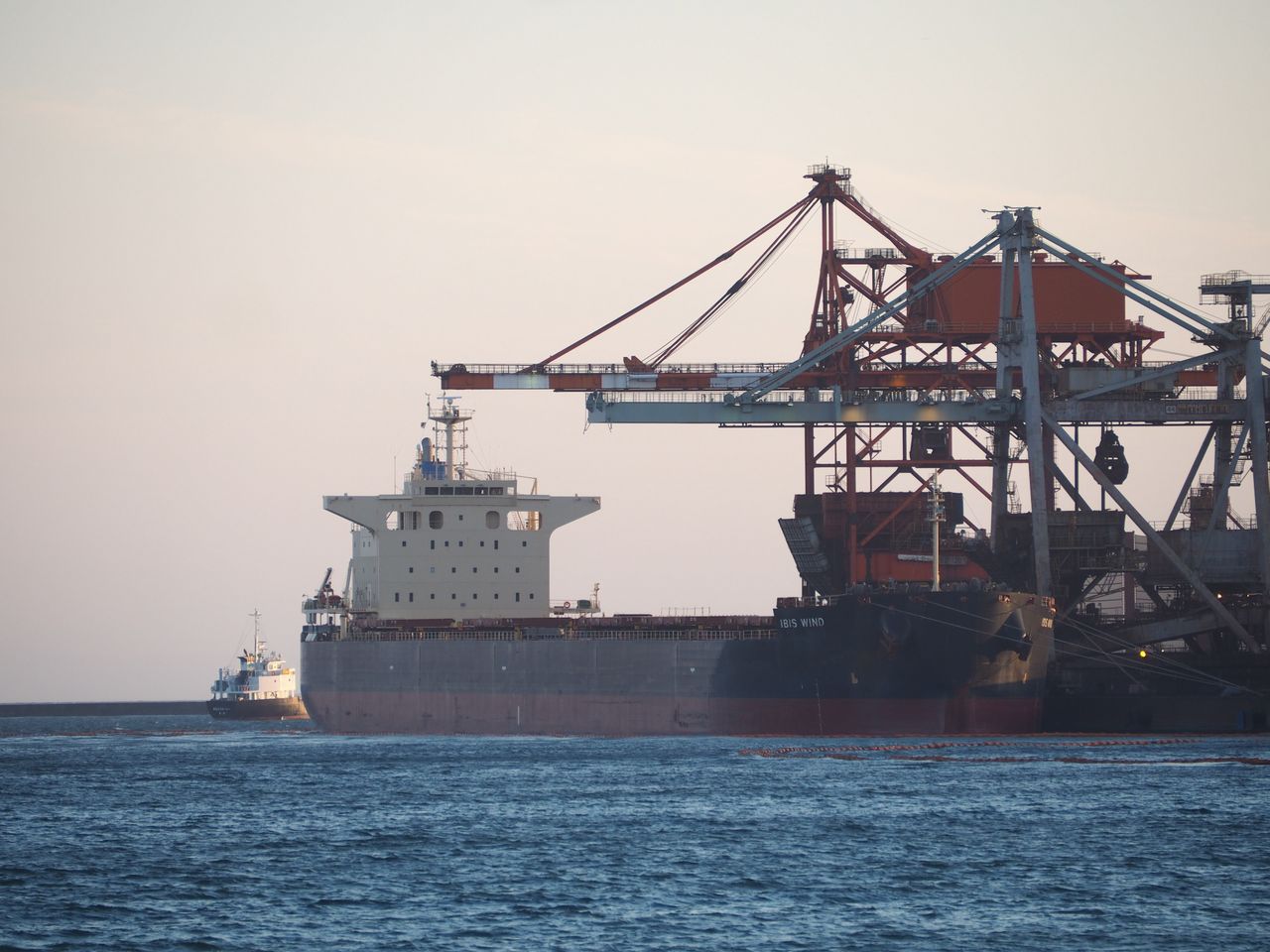 IBIS WIND : あまがみ