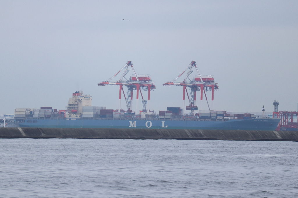 MOL EXPLORER : あまがみ
