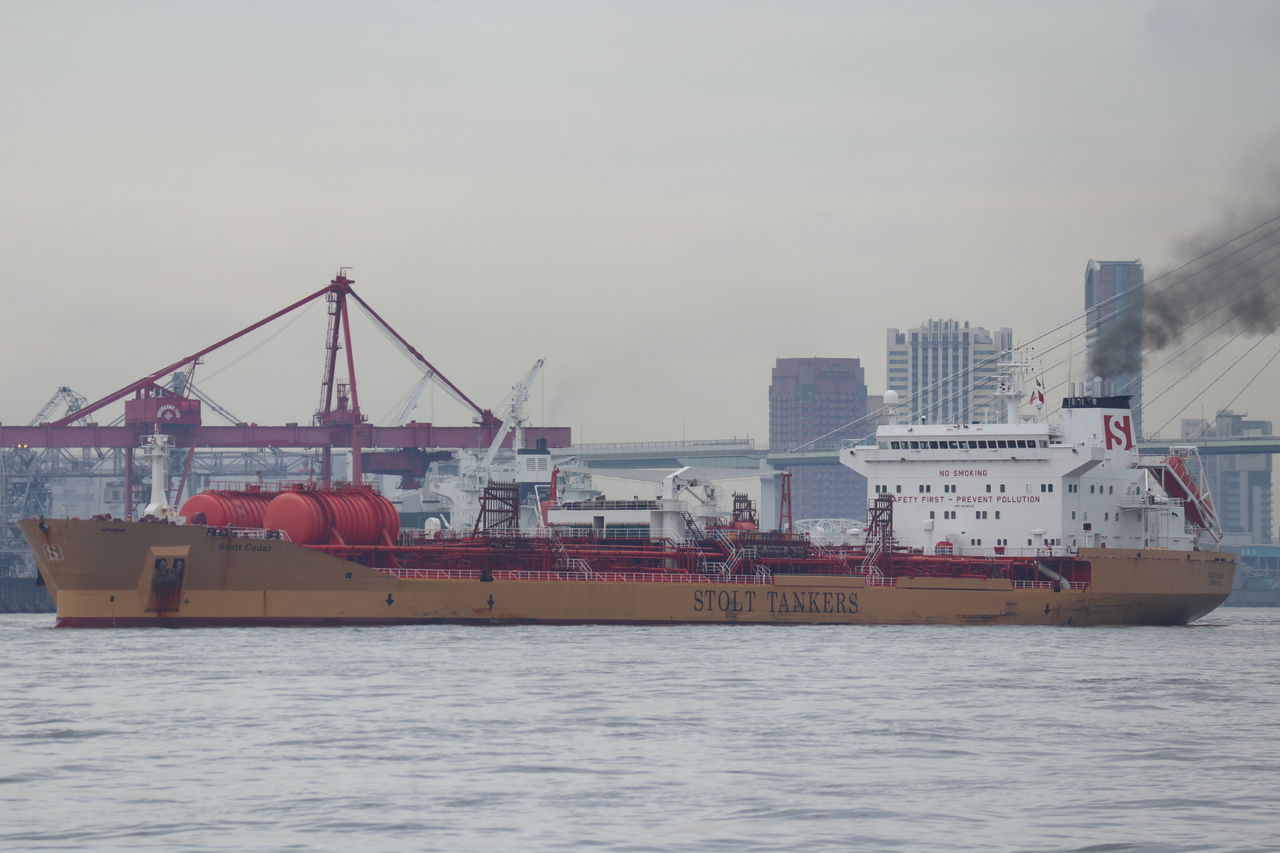 STOLT CEDAR : あまがみ