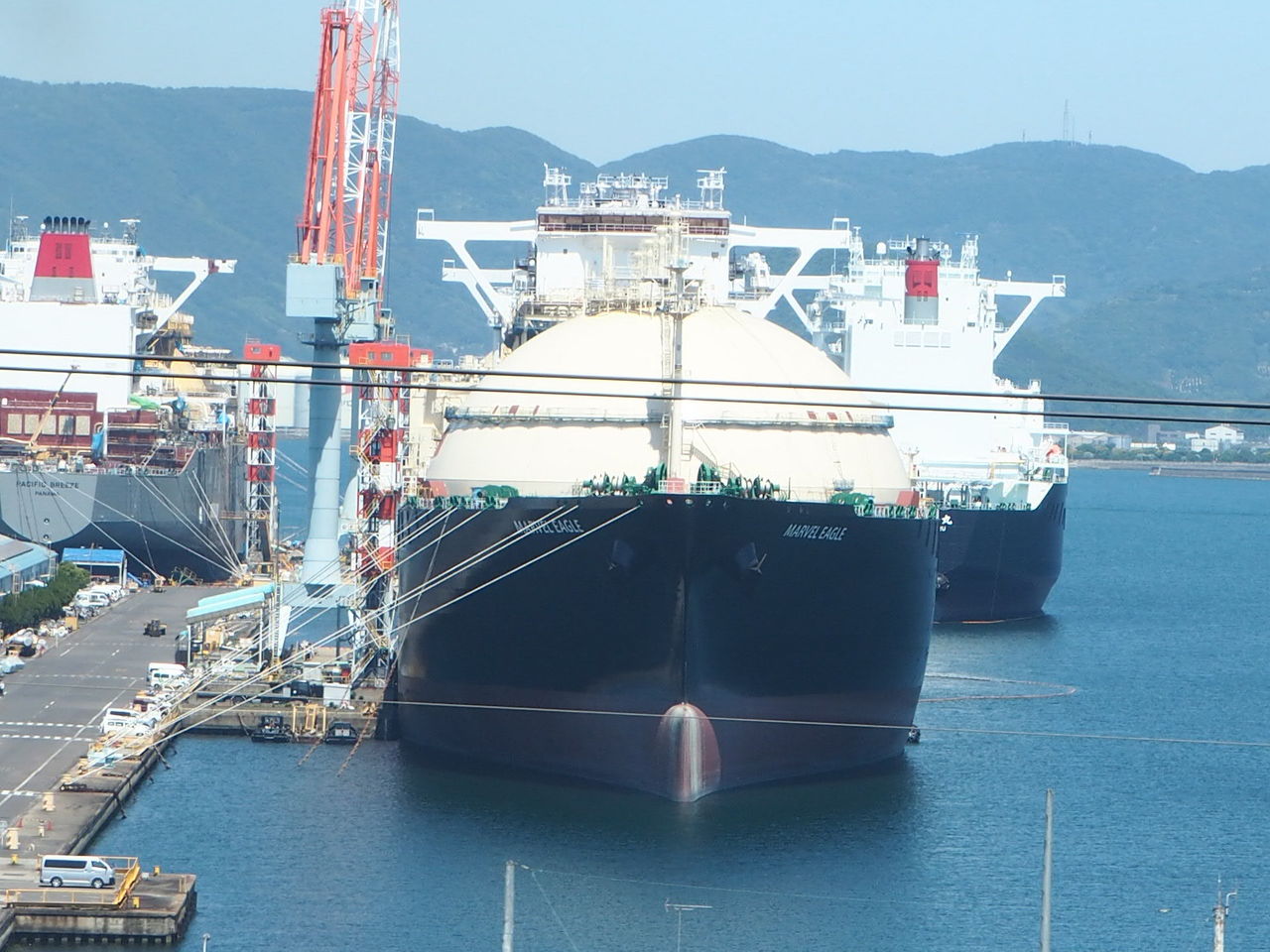 MARVEL EAGLE : あまがみ