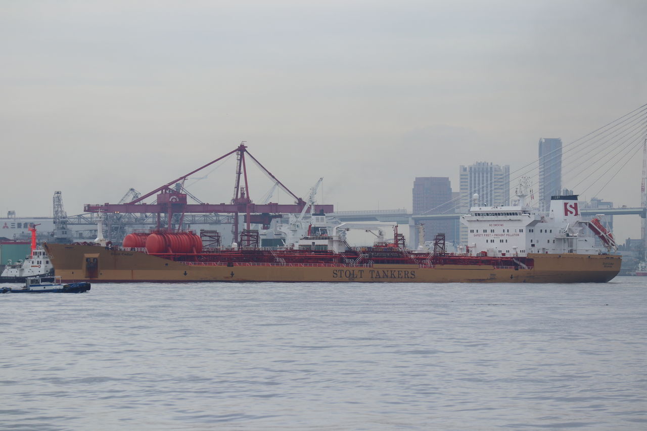 STOLT CEDAR : あまがみ