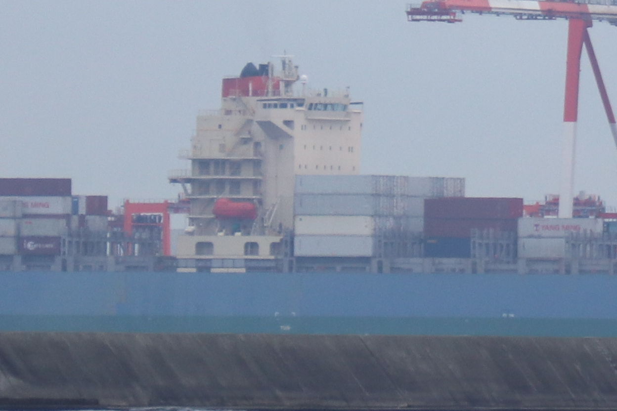 MOL EXPLORER : あまがみ