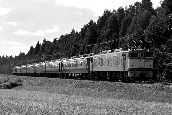 EF64-41＋サロンエクスプレス東京 : FreeBee vol.2