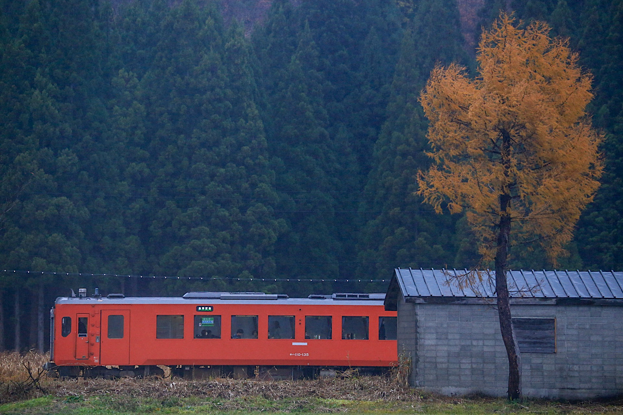 JR東日本郡山総合車両センターキハ110系@キハ110-135（初対面） : FreeBee vol.2