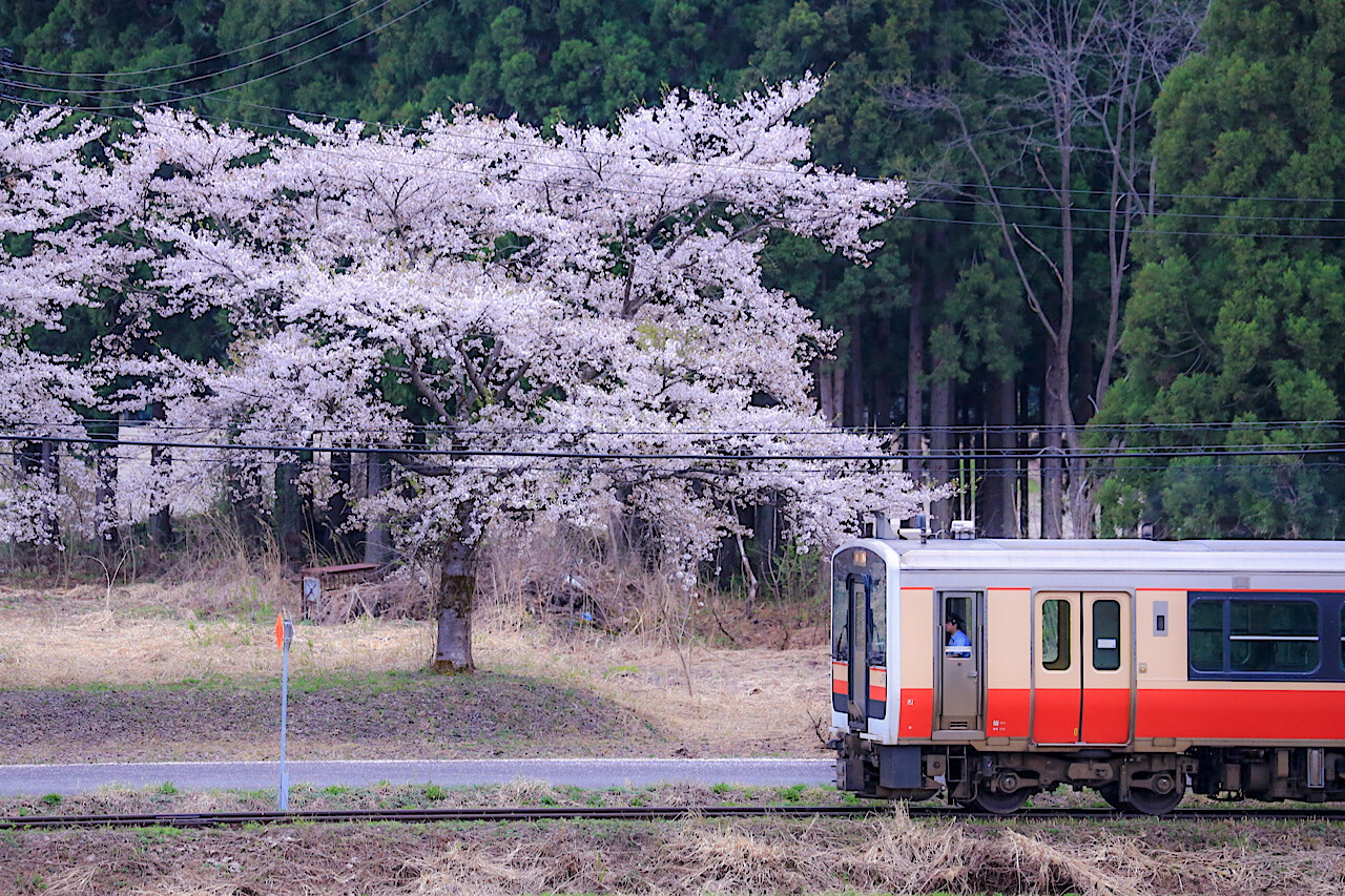 JR東日本郡山総合車両センターキハE120系@キハE120-2（会津大塩） : FreeBee vol.2
