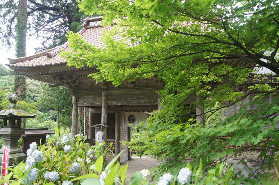 佐渡のアジサイ寺 蓮華峰寺 : ホテル天の川荘～彦星の佐渡フォト散歩