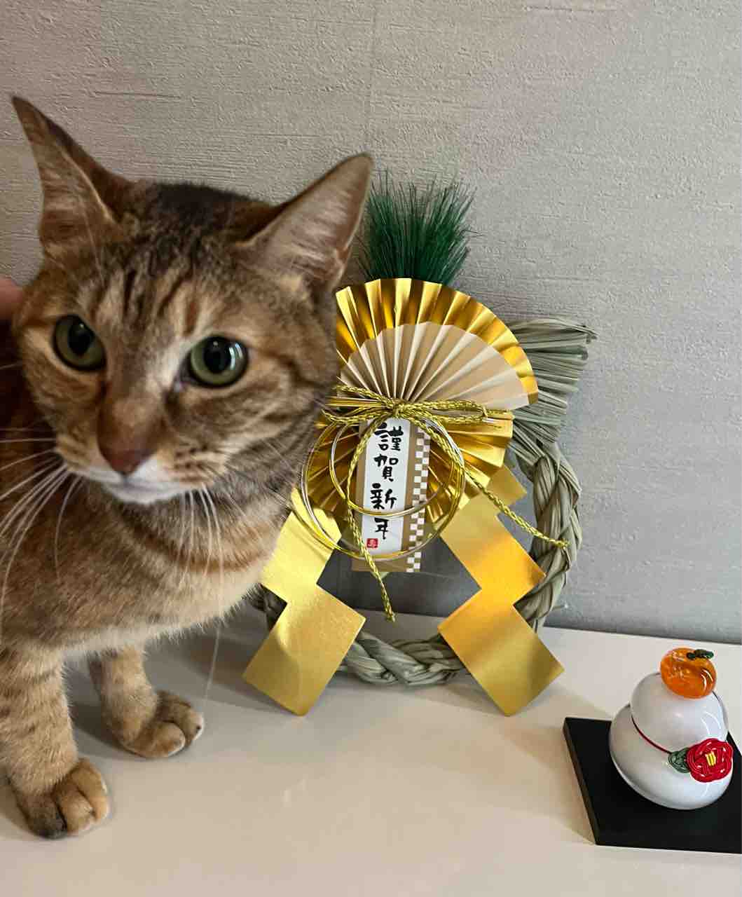 今年もよろしくお願いします！ : やさしい時間と、ねこ暮らし Powered by ライブドアブログ