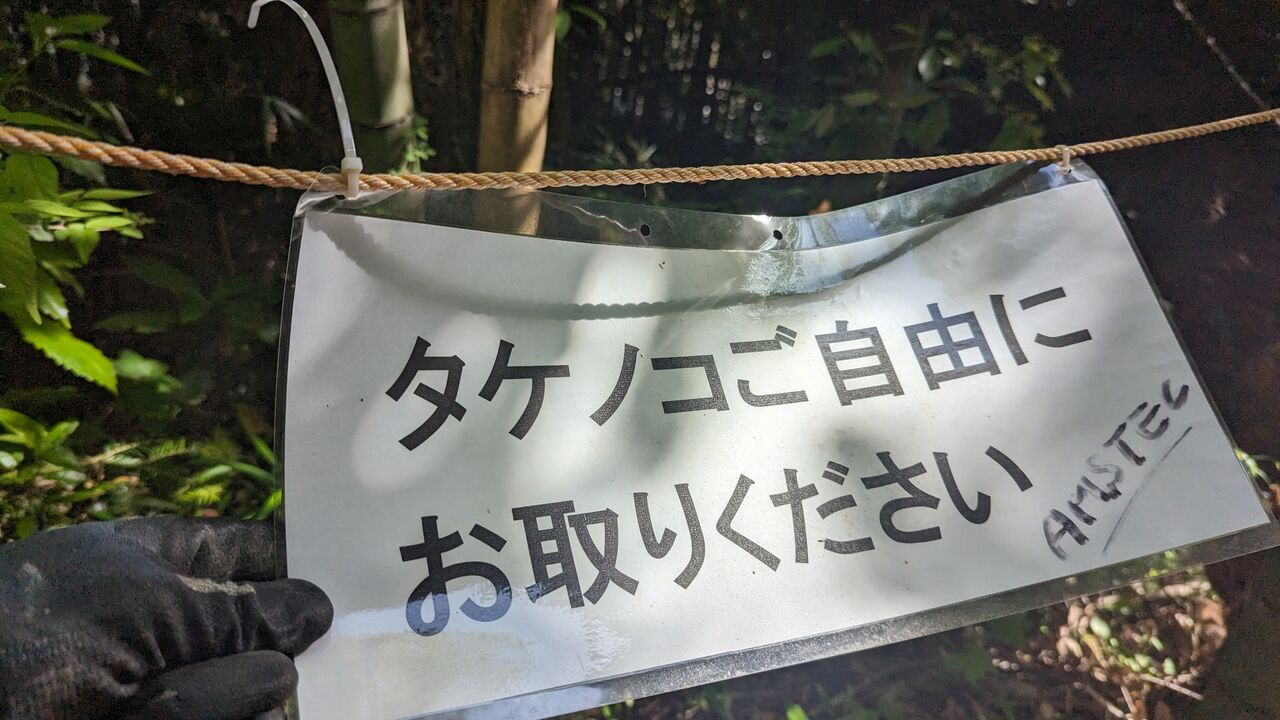 タケノコ : AMSTEC(株)の活動日記