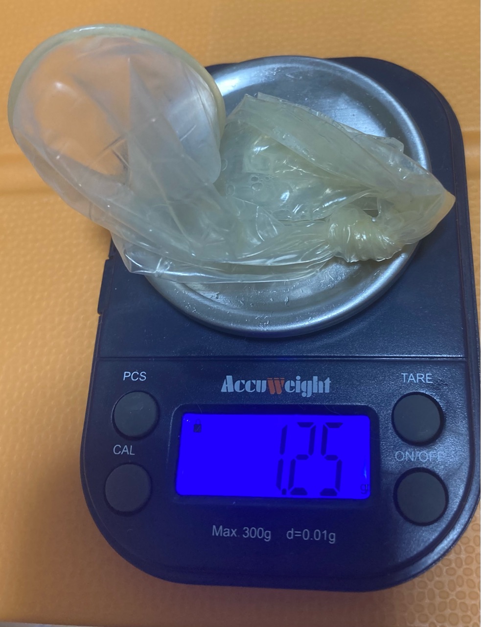 ザーメン何g出せる？ 7日目 : 18cm超えを目指す