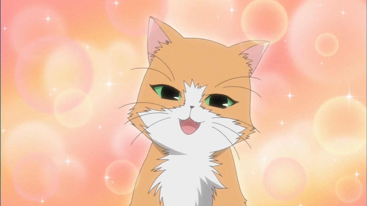 アニメのキャプ画を貼るブログ : にゃんこい！第8話 キャプチャー画像 その2