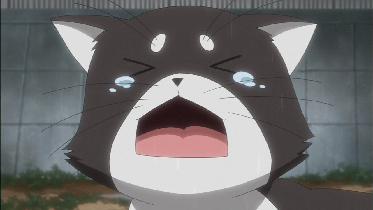 アニメのキャプ画を貼るブログ : にゃんこい！第8話 キャプチャー画像 その2