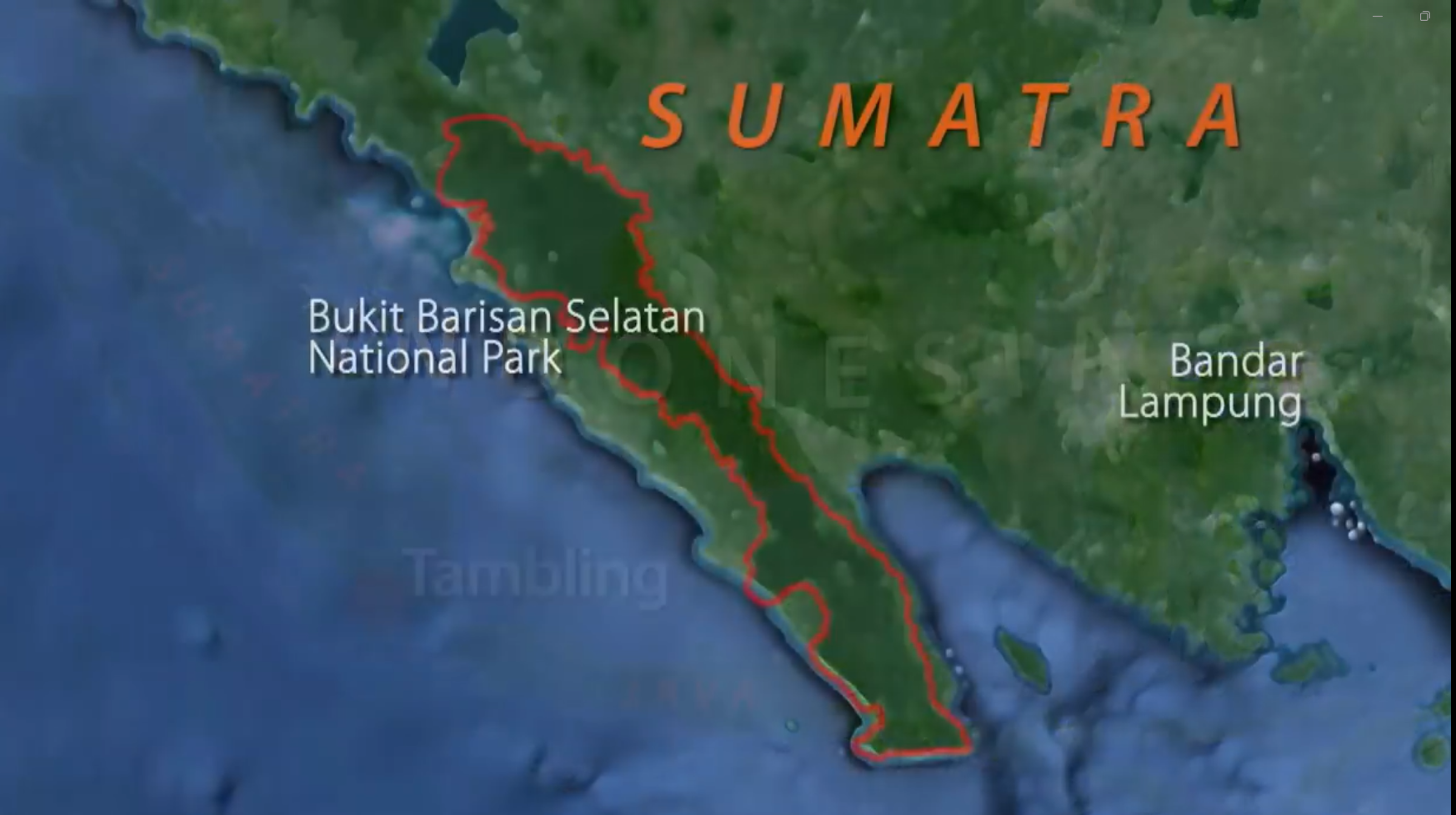 動物をもっと理解したい : スマトラトラ