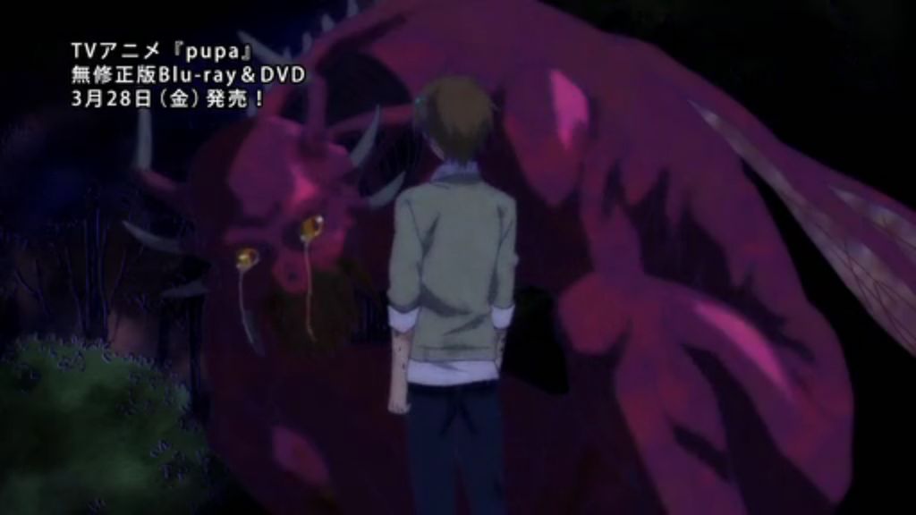 アニメ万国情報館 : 【画像あり】pupa #2「噬螫」 感想