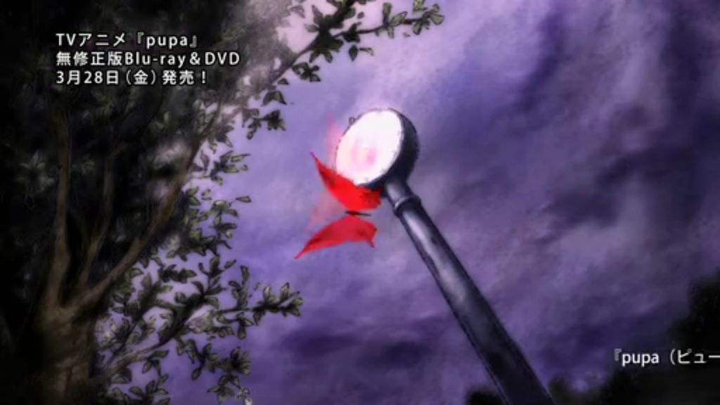 アニメ万国情報館 : 【画像あり】pupa #2「噬螫」 感想