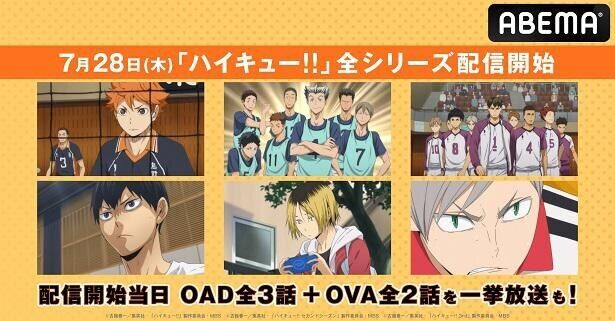TVアニメシリーズ、劇場版、OAD＆OVA「ハイキュー!!」全シリーズ配信開始決定 OAD全3話＆OVA全2話の無料一挙放送も | ニコニコニュース : アニメお楽しみnews